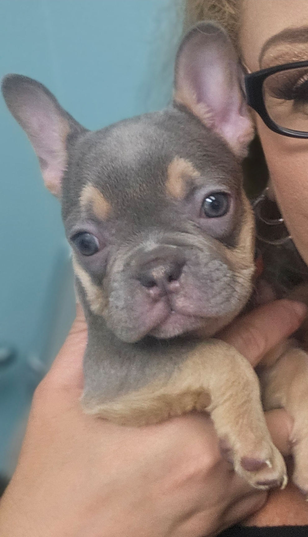 COCO – PuppyList